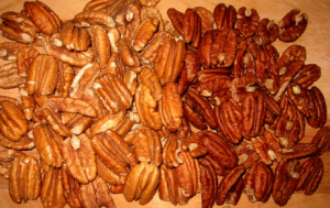 Pecan Flour Brownies - SCD | Keely's Allergy Free Kitchen